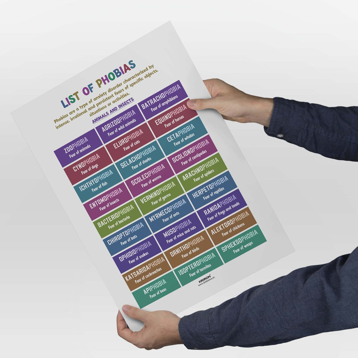 Pack of 4 - List of Phobias, English Language Poster, English Educatio ...